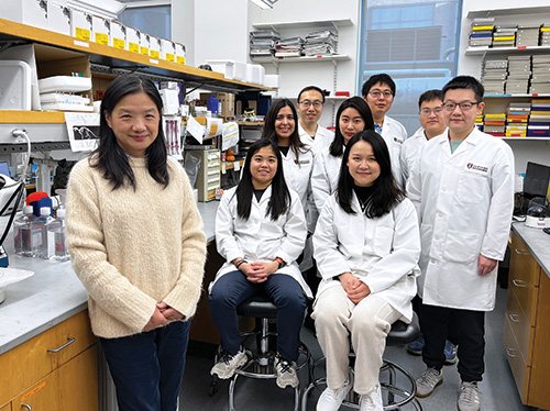 Yang Laboratory | Harvard School of Dental Medicine