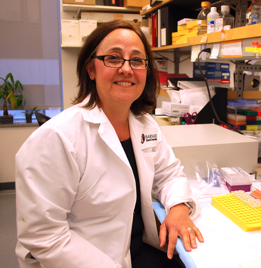New Funding Supports Research in Bone Fragility, Healing and ...